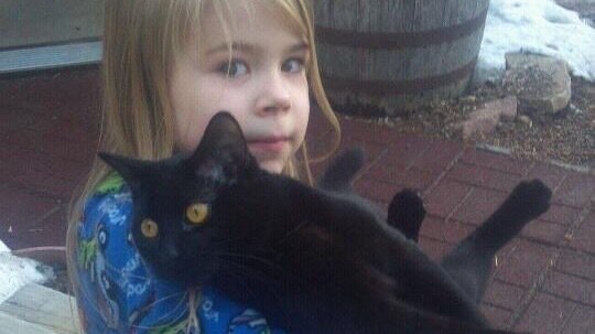 Petition · Return Valentine, the Cat, to Her Rightful Home - United ...