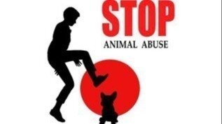 Petition · Cease All Forms of Animal Cruelty - Cabucgayan, Philippines ...