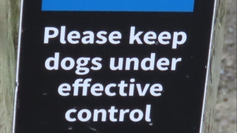 Petition · Remove "dogs on leash" as a byelaw requirement by the local ...