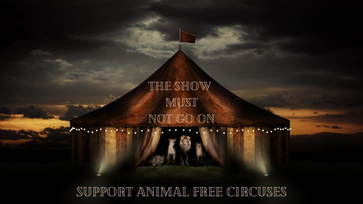 Petition · STOP THE CRUEL EXPLOITATION OF ANIMALS IN CIRCUSES NOW ...