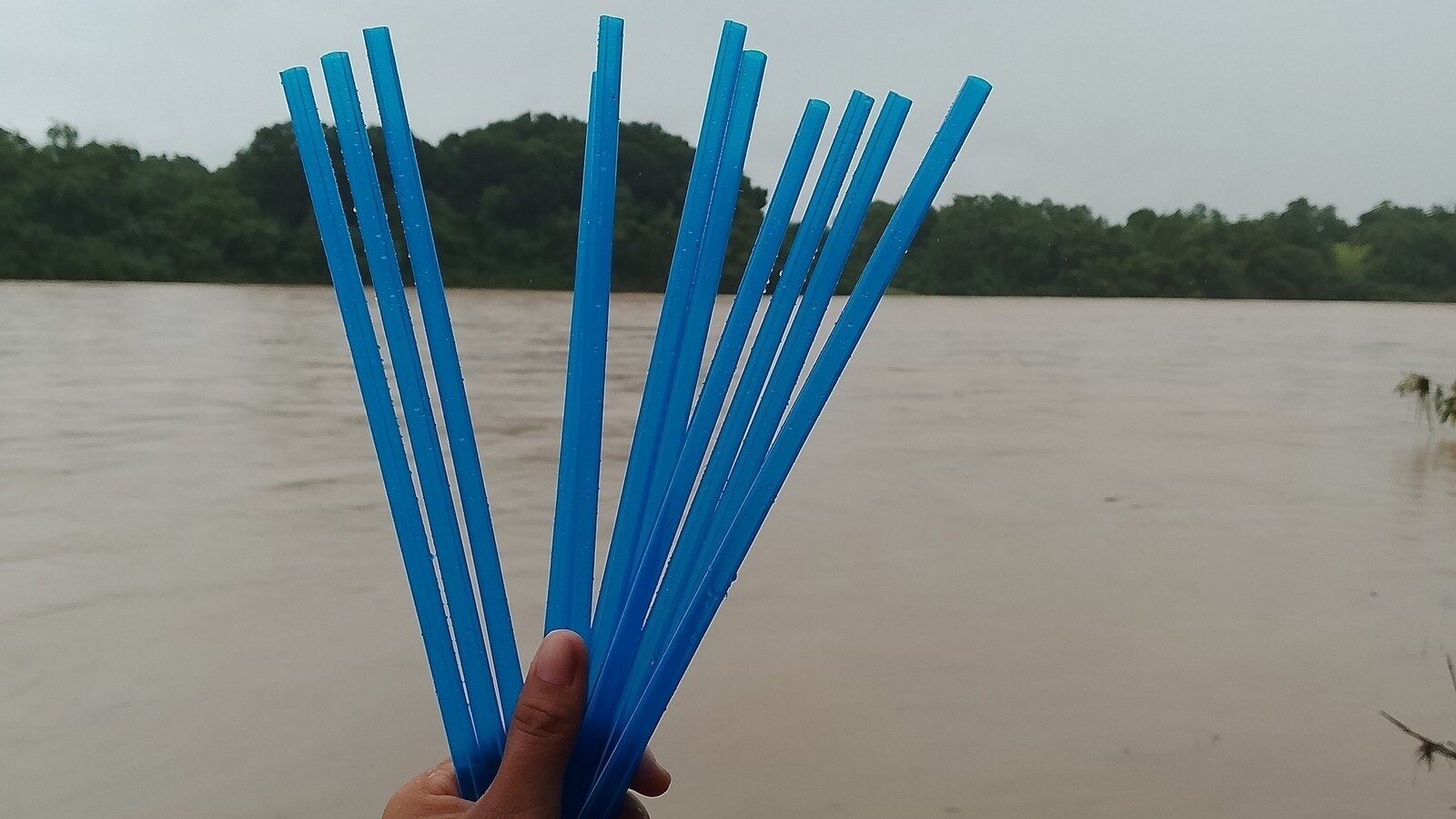 Petition · Say No to Straws: Ban Plastic Pollution! - Philippines ...