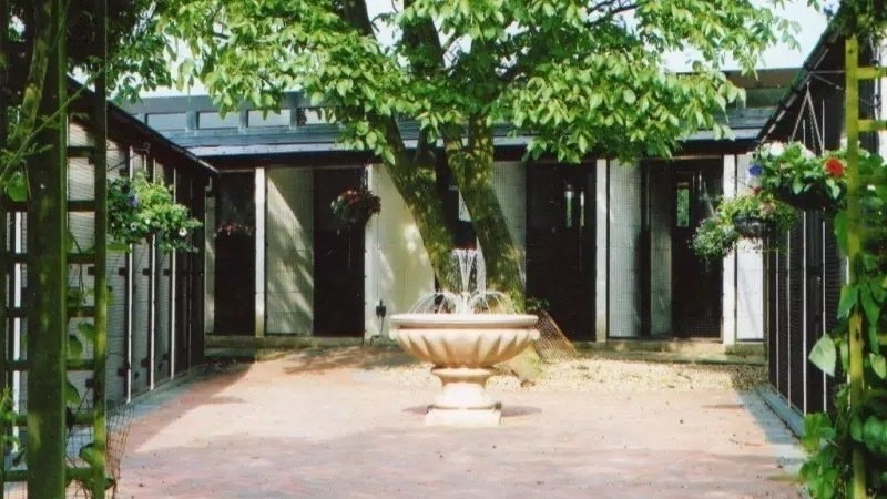 Petition · Stop the council closing Cottage cattery in Orpington ...