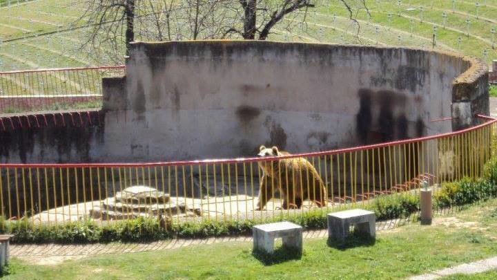 Petition · BITOLA, MACEDONIA: A LAGER NAMED ZOO - SIGN THE PETITION TO ...