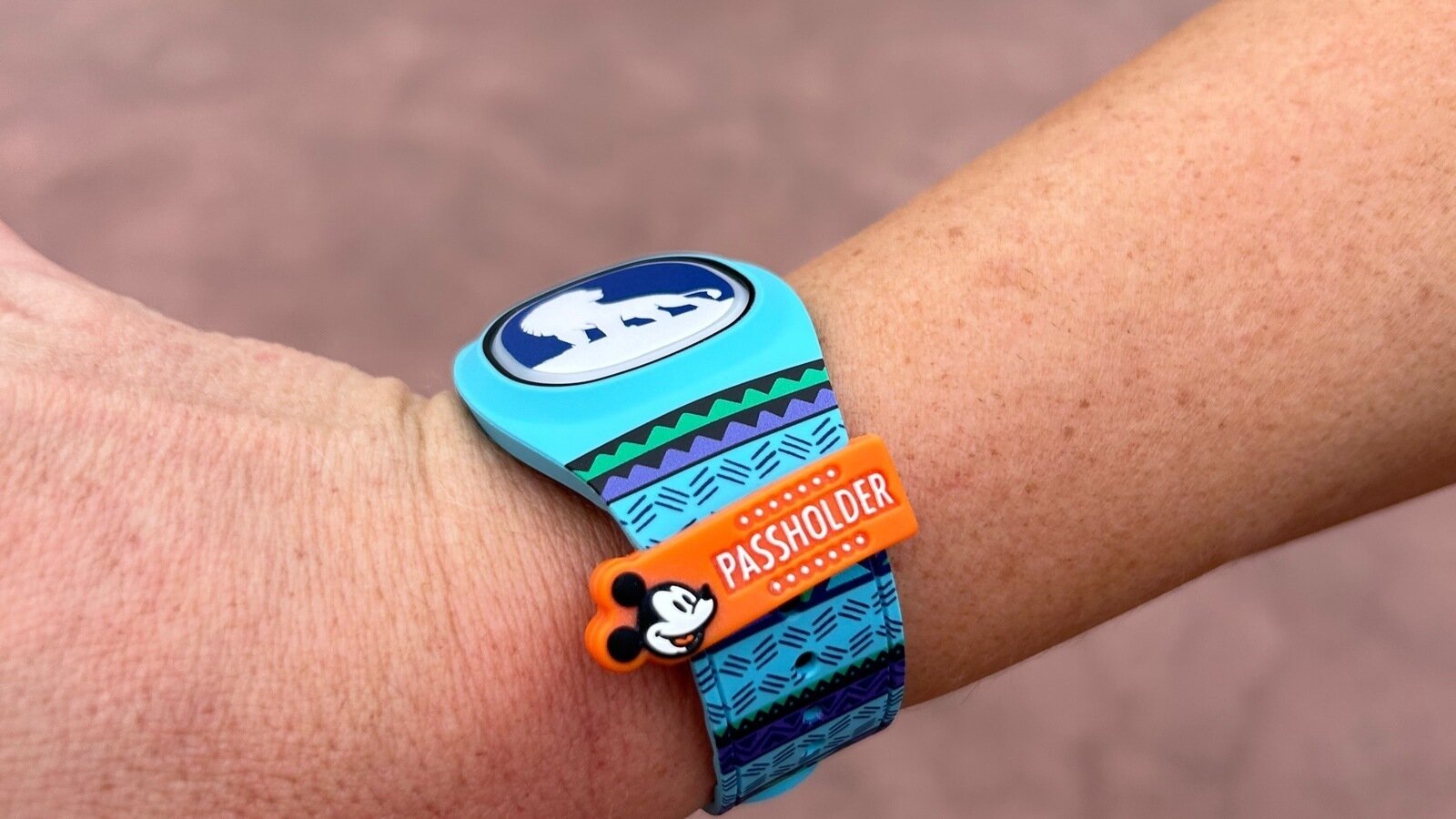 Petition · Bring Back Disney Annual Passholder Magic Band Sliders ...
