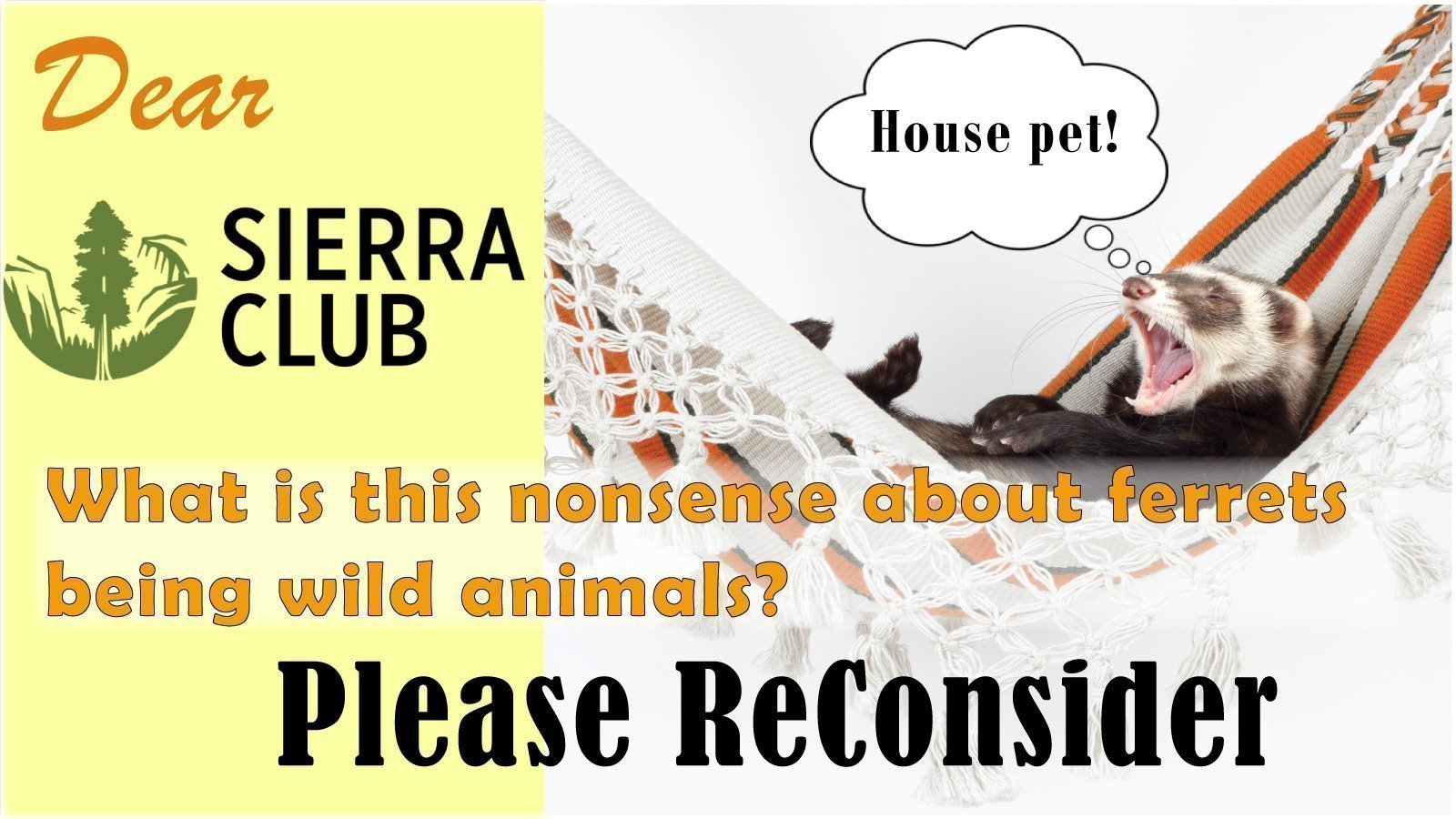 Petition · Sierra Club of California - Ferrets are not Wild Animals ...