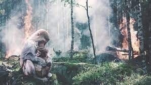 Petition · Stop Cutting Down Trees - United States · Change.org