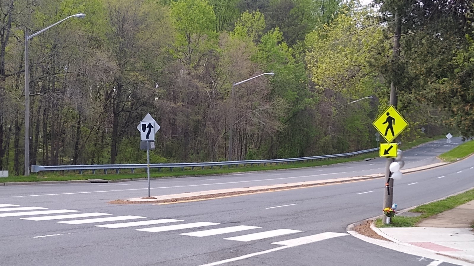 Petition · We need a traffic light at the deadly intersection of Olley ...
