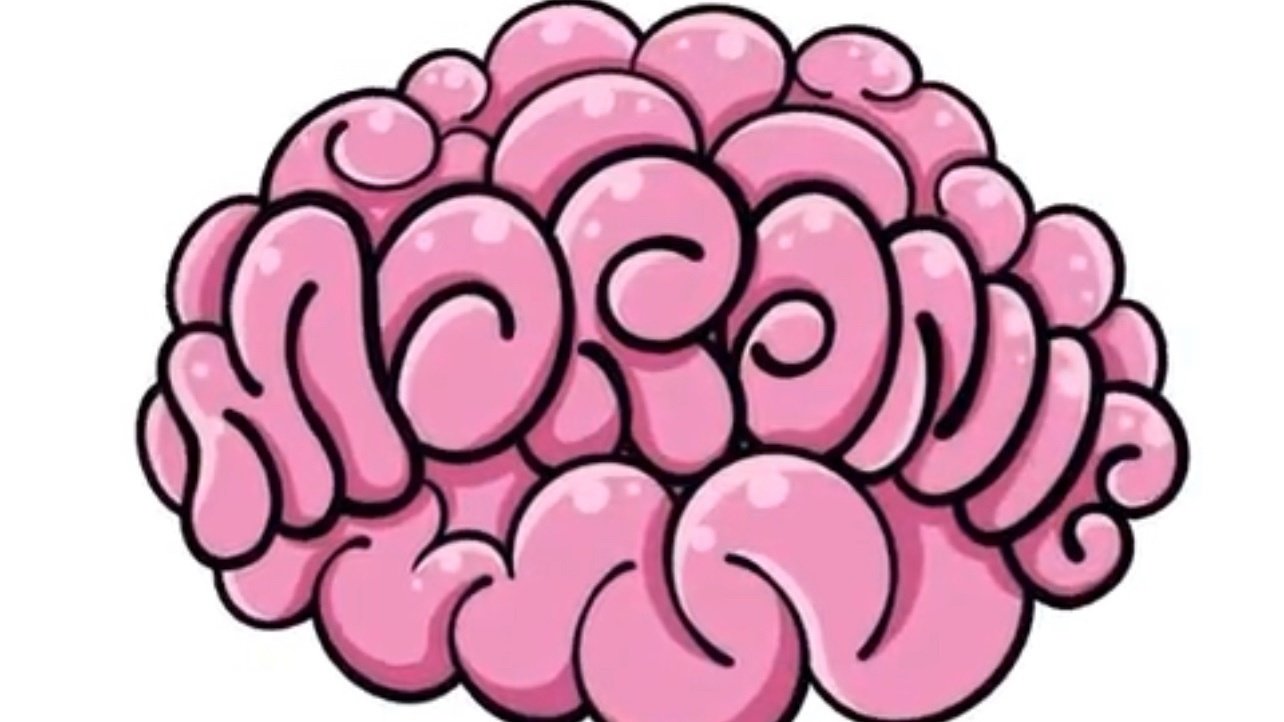 Petition · Moronic Bonnets - United States · Change.org