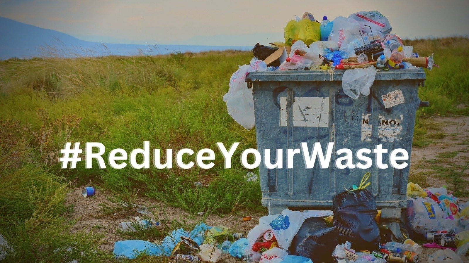 Petition · Doing More With Less: Reduce the Amount of Waste We Generate ...