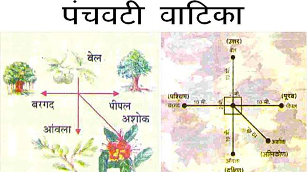 पेटीशन · Save nature, make Panchavati design of tree plantation ...