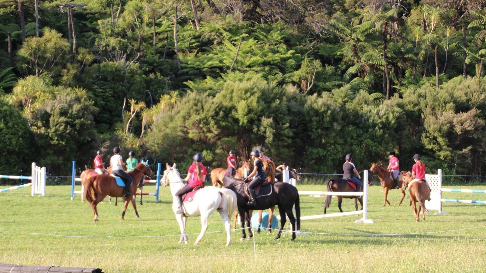Petition · Show support for Massey Pony Club - New Zealand · Change.org