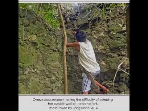 Petition · Protection and conservation of Fort San Pedro, Culion ...