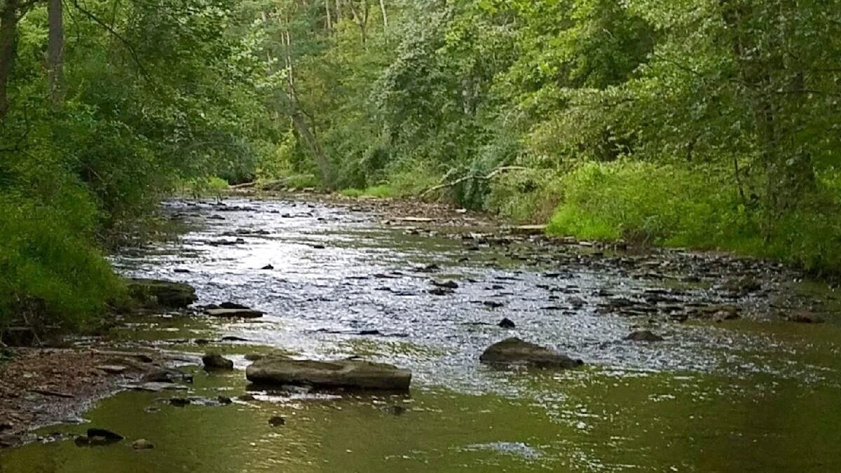 Petition · Protect environmental & public health with Best Available ...