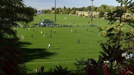 Petition · Grass please! - United States · Change.org