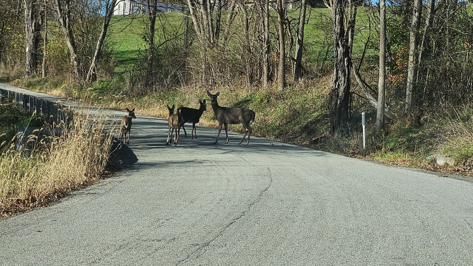 Petition · Protect Nicholson Township Farmlands from Solar Panels ...