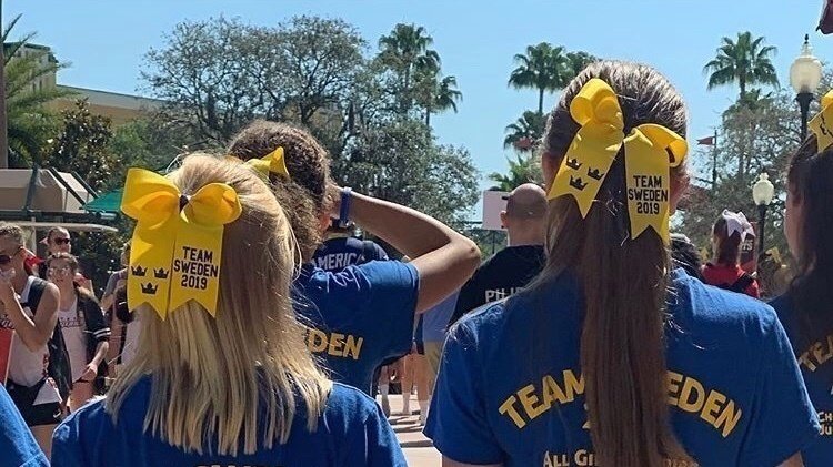 Petition · Make cheerleading a sport in Sweden! - Sweden · Change.org