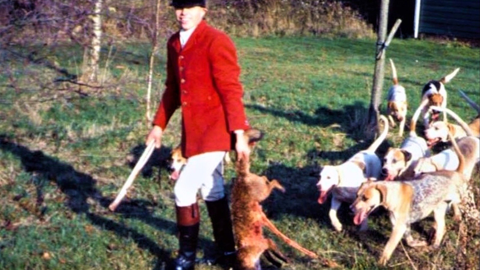 Petition · BAN FOX HUNTING - United States · Change.org