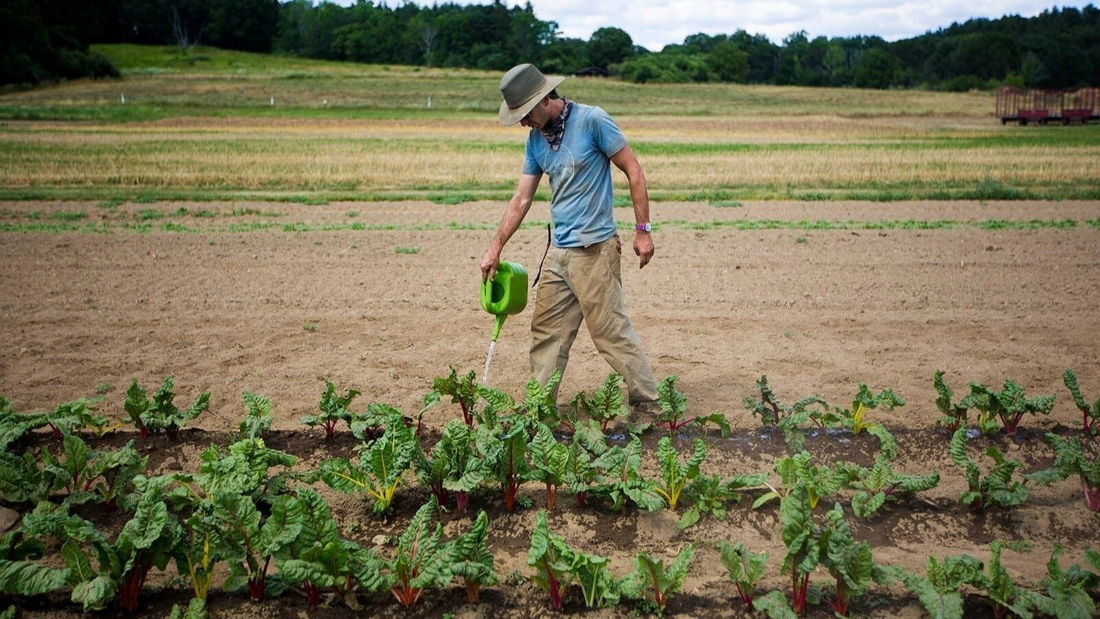 Petition · PROTECT OUR FARMERS SAVE OUR AGRICULTURAL LAND - Kamloops ...