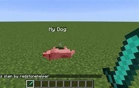 Petition · to be able to add armor to dogs in Minecraft - United States ...