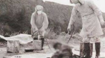 Petition · Human beings who became EXPERIMENT RAT. - South Korea ...