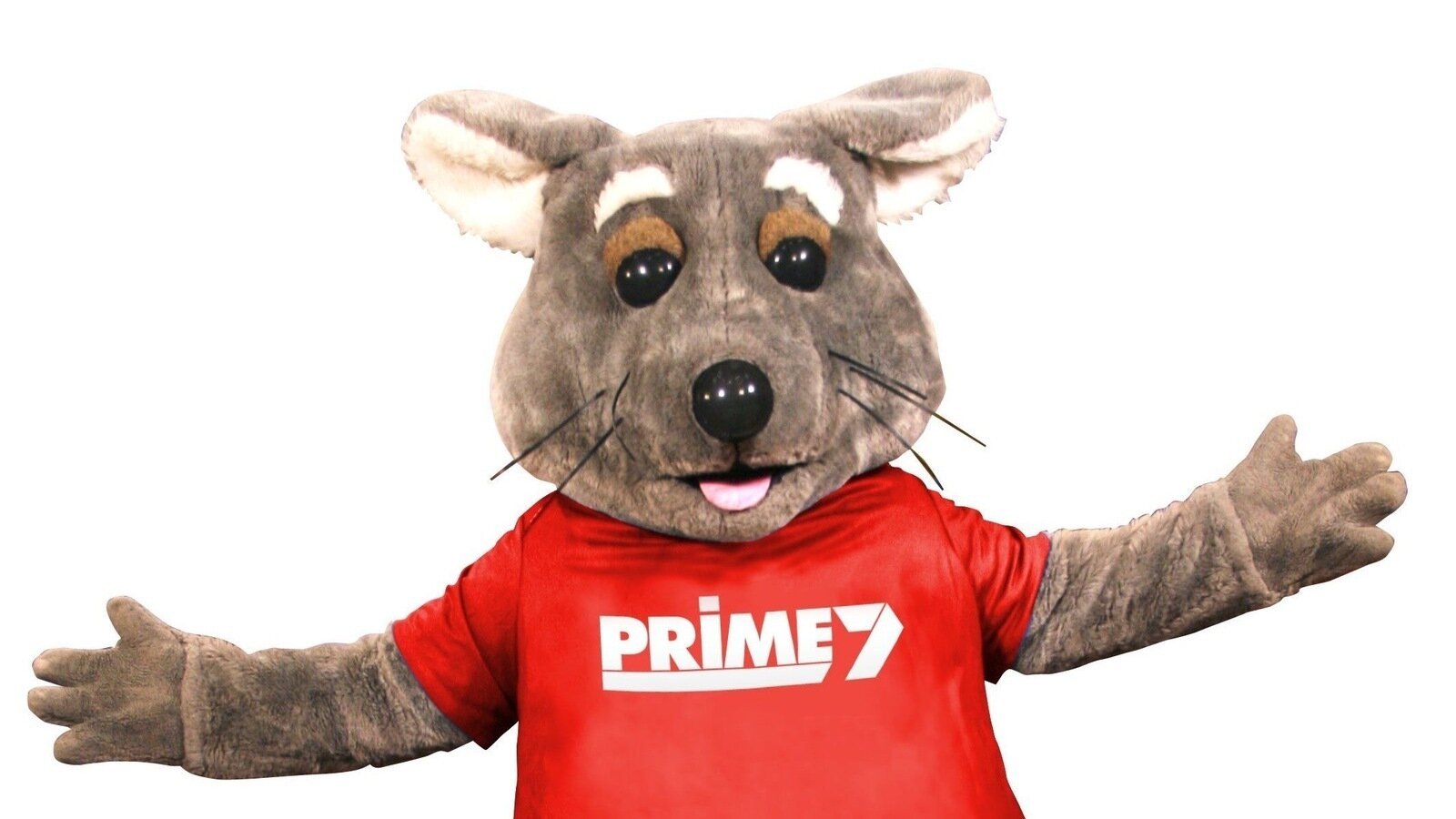 Petition · Restore Prime7 and GWN7 to Regional Australia from Seven ...