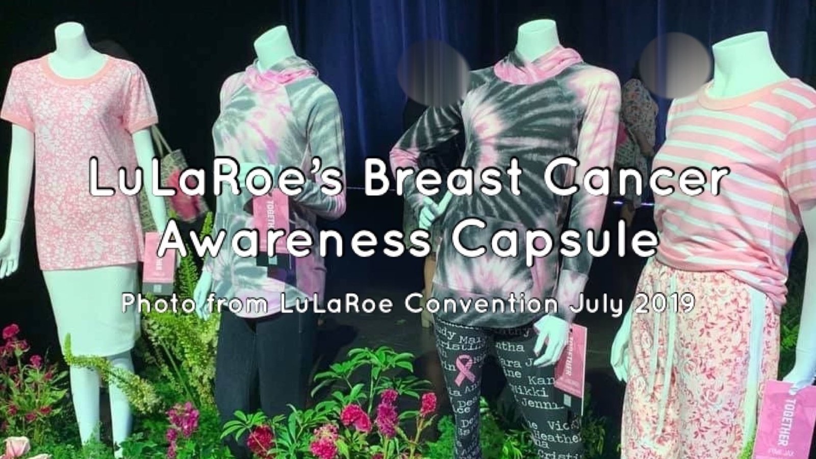 Petition · For whom is LuLaRoe fundraising? When will total donation ...