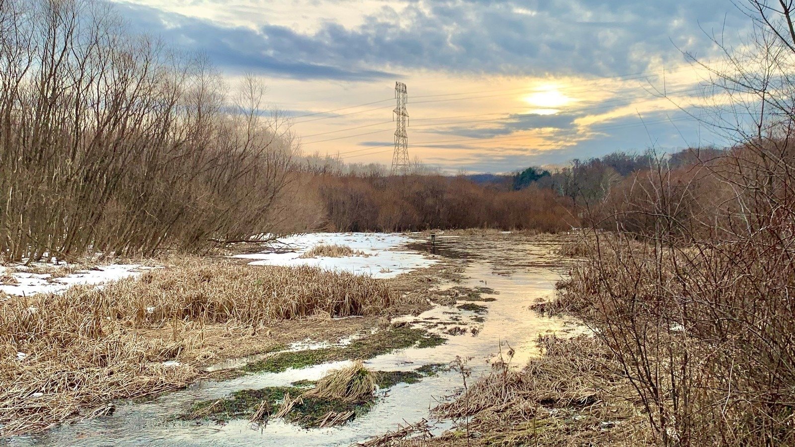Petition · Ban dogs at Beaver County Conservation District wetlands ...