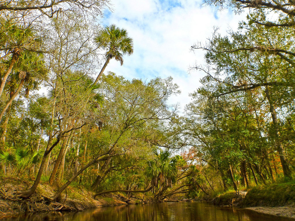 Petition · The Florida Senate Appropriations Committee: Deleting the ...
