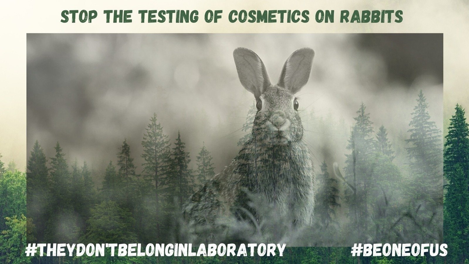 Petition · Stop the testing for cosmetics on rabbits - Philippines ...