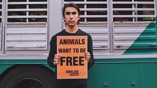 Petition · Abolish the Imprisonment of Wild Animals in Cruel, Tiny ...