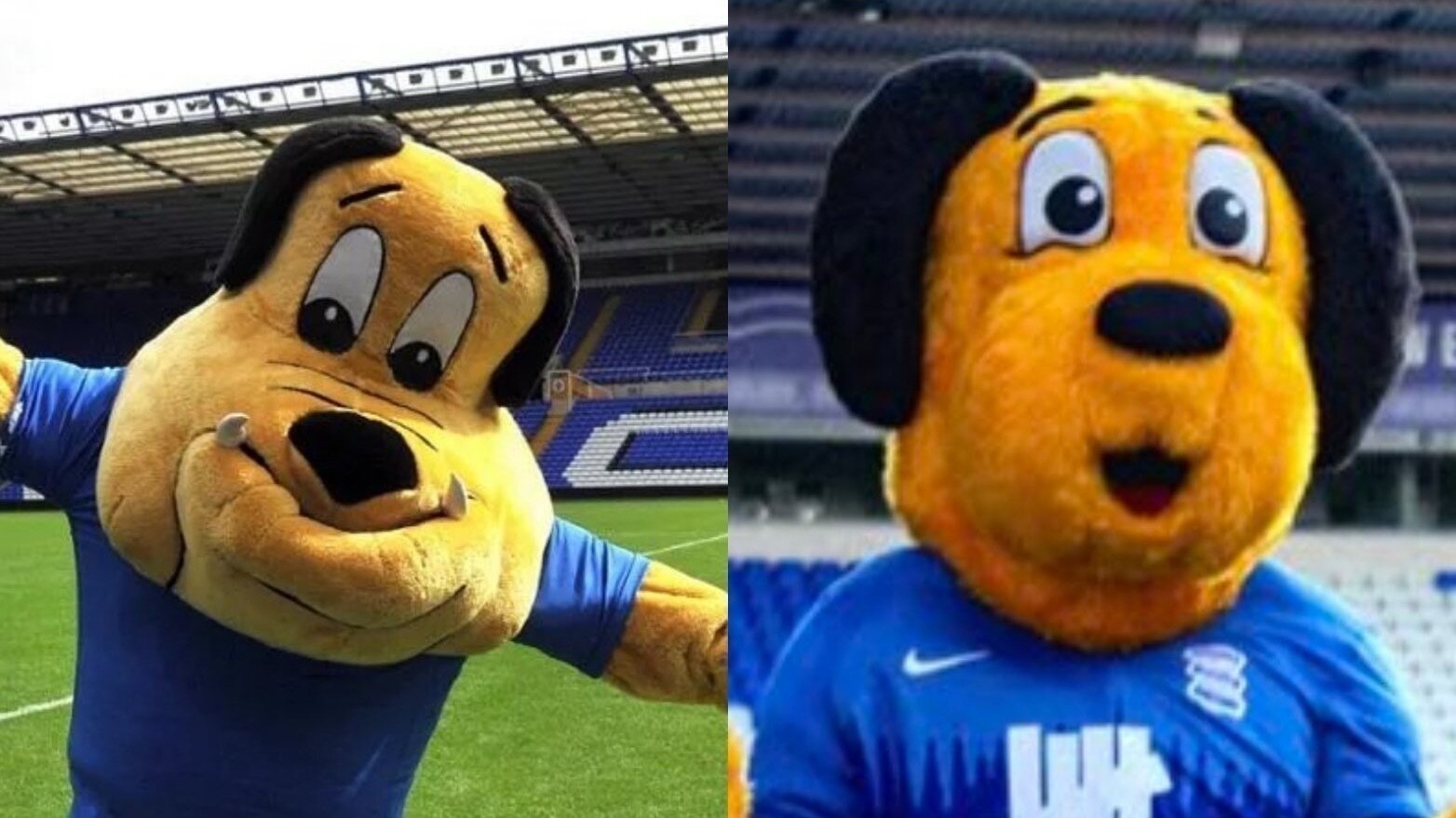 Petition · Reinstate the Original Beau Brummie and Beau Belle ...