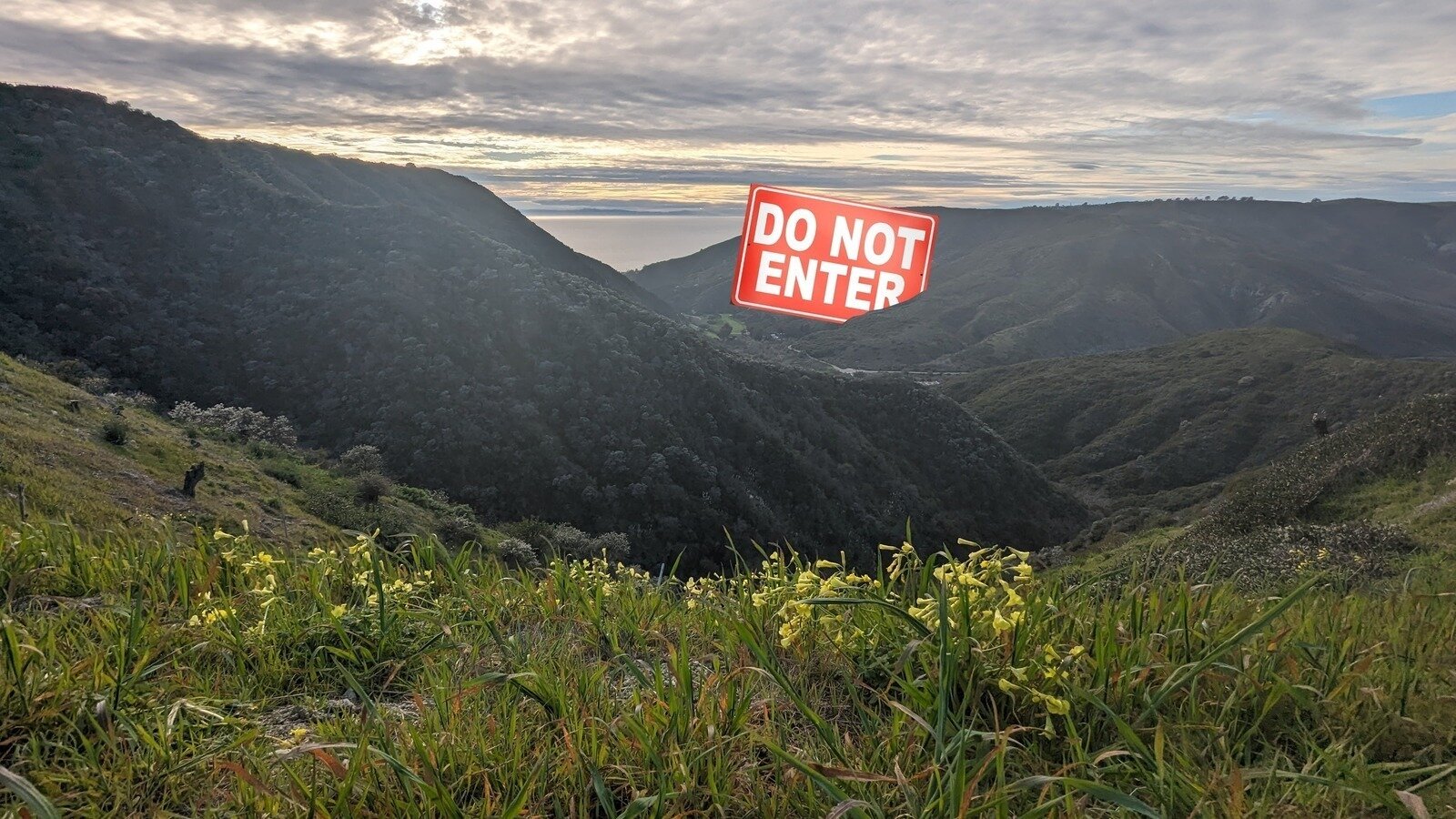 Petition · Reopen Aliso Canyon Trail in Laguna Beach - Laguna Beach ...