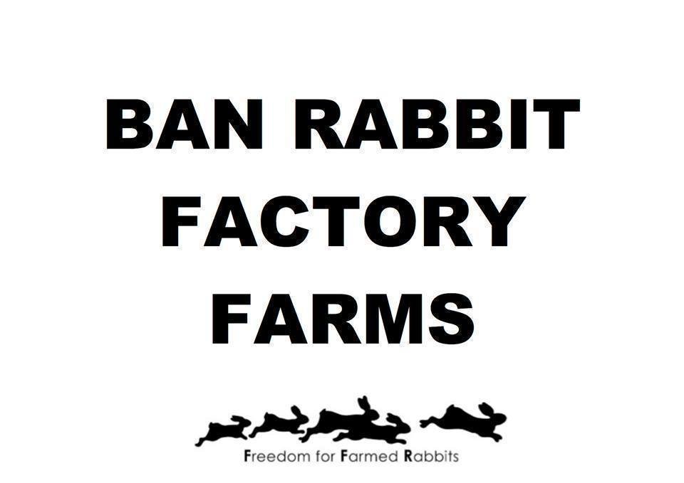 Petition · Ban Rabbit Farming in Australia - Australia · Change.org