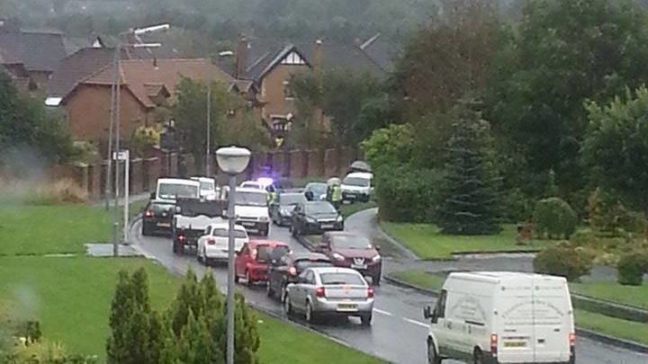 Petition · Add traffic lights , zebra crossing or speed bumps to ...