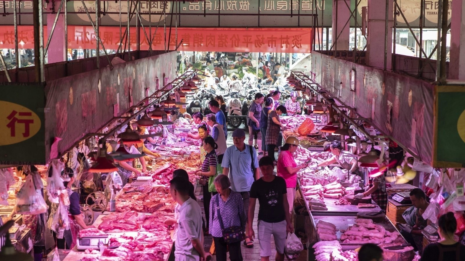 Petition · Ban live animal markets worldwide - United Kingdom · Change.org