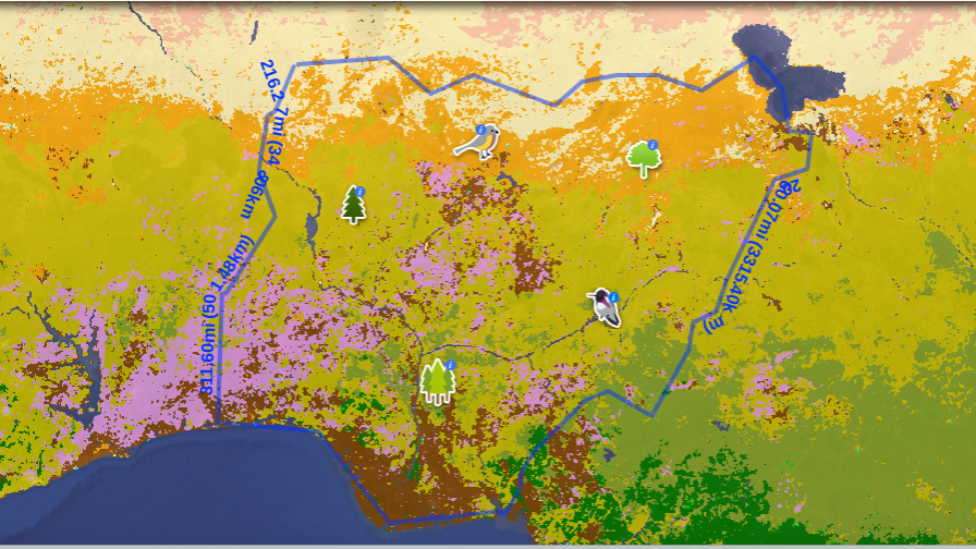 Petition · Help Slow Down Deforestation In Nigeria - United States ...