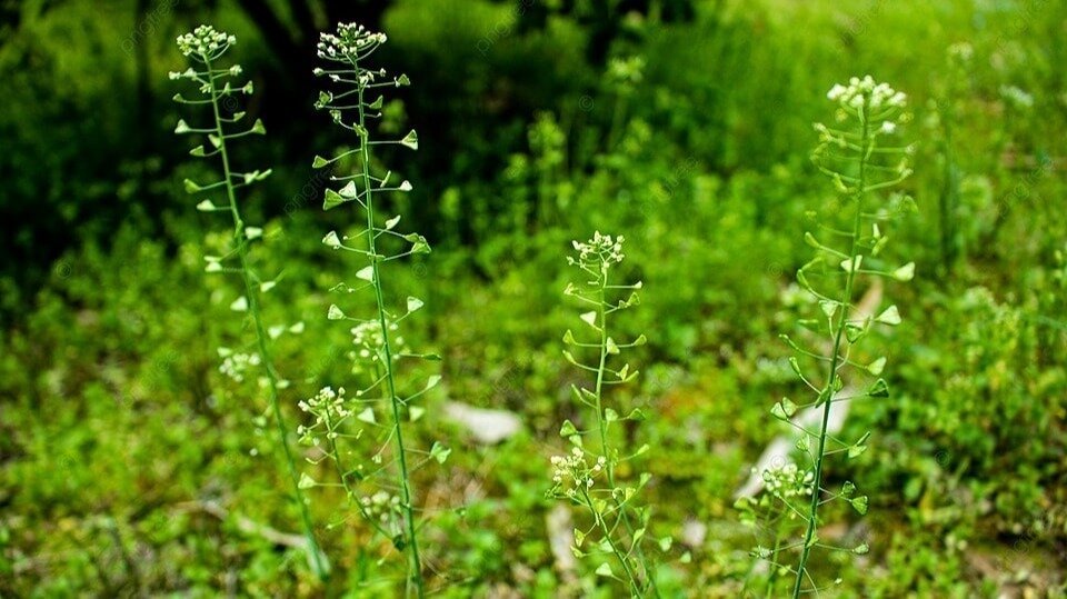 Petition update · City cites 119 tall grass violations, but no ...