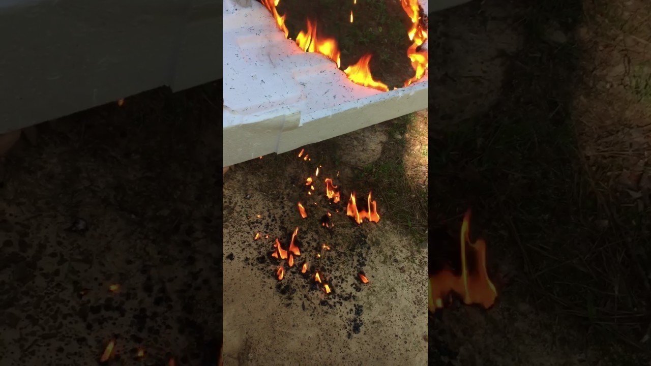 Petition · Ban Poisonous Styrofoam Containers in Highland Park ISD ...