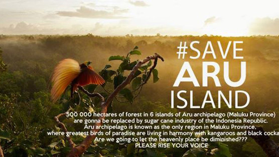 Petisi · Pak @SBYudhoyono Pak @Zul_Hasan : Batalkan Izin Penebangan ...