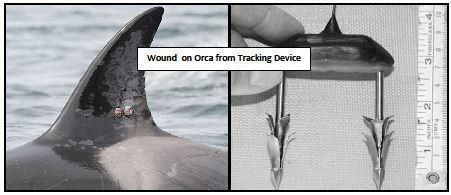 Petition update · Stop the Experiments! · Change.org · Change.org