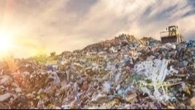Petition · Stop more people from using non biodegradable resources ...
