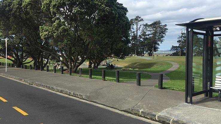 Petition · Safety at Coyle Park, Pt Chevalier - New Zealand · Change.org