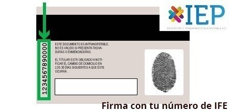 Petición · Agrega tu número de IFE en el campo de texto superior al ...