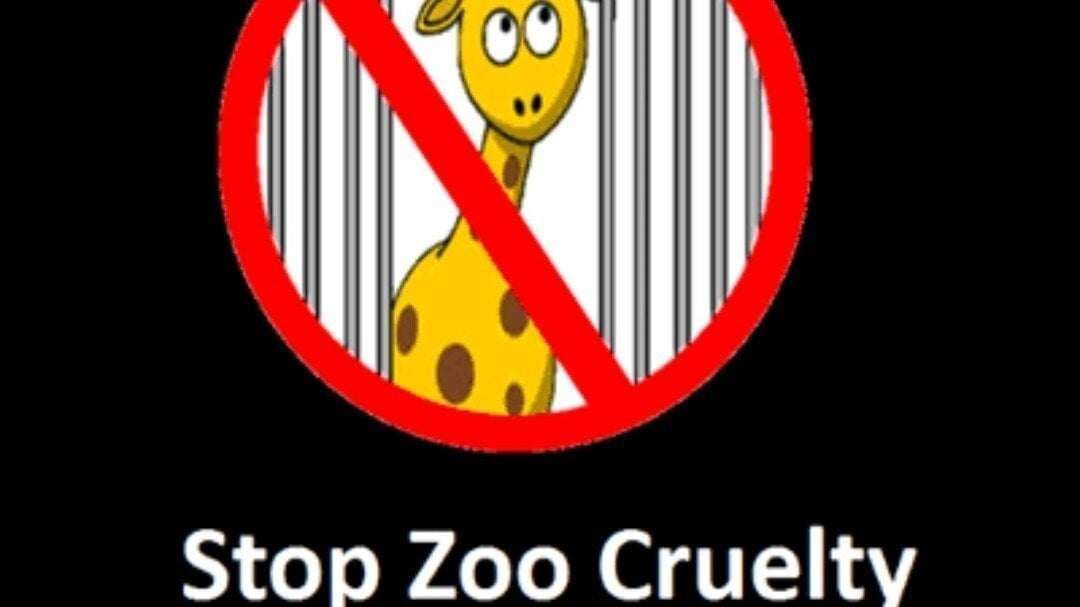 Petition · Stop zoo so animal can live happily in the nature - India ...