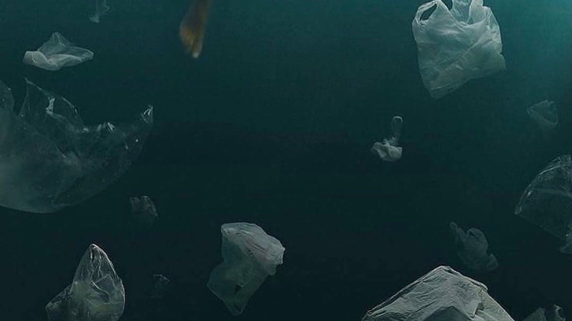 Petition · Stop Radisson Hotel Plastic Pollution from Plastic Bathroom ...