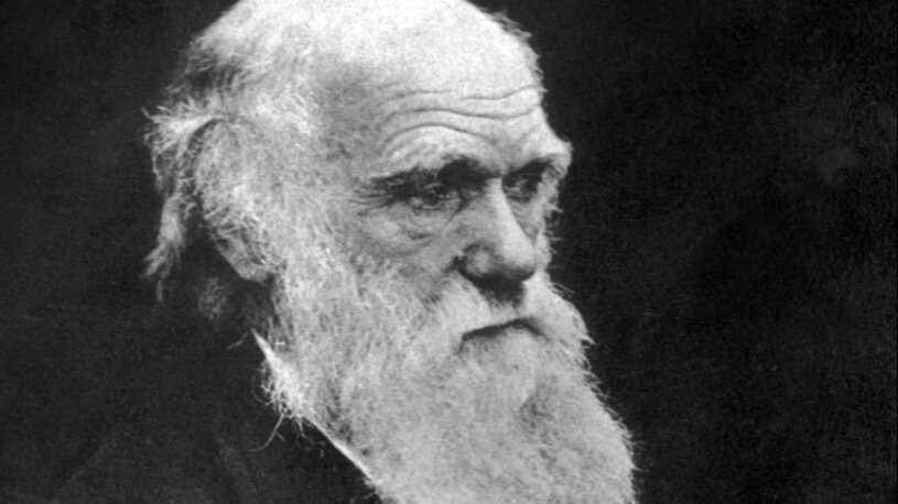 Petition · Where’s Charles Darwin, Houston TX Zoo? - United States ...
