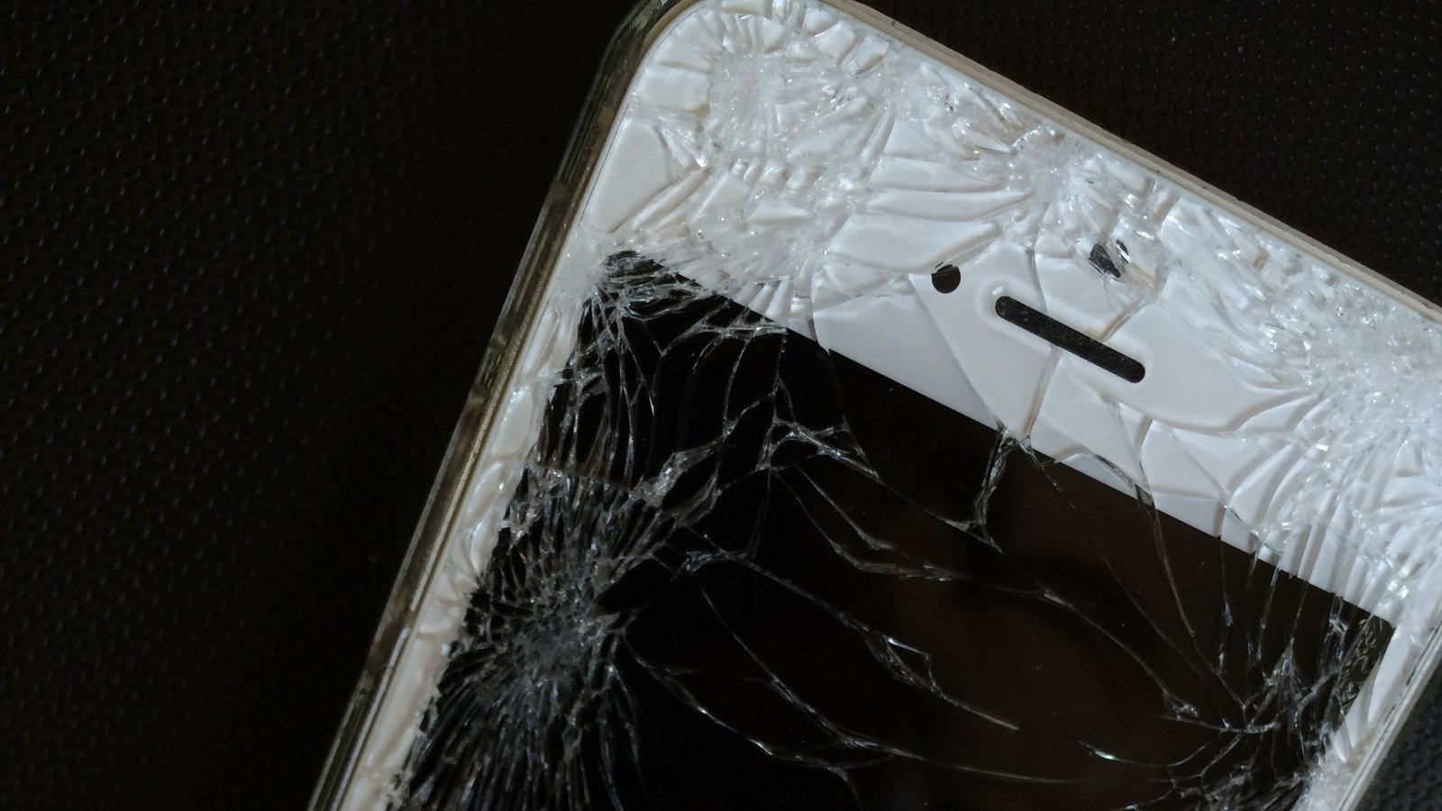 Petition · Save Emily Elgin's Life - United States · Change.org