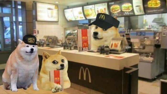 Petition · Doge For McDonald's! - United States · Change.org