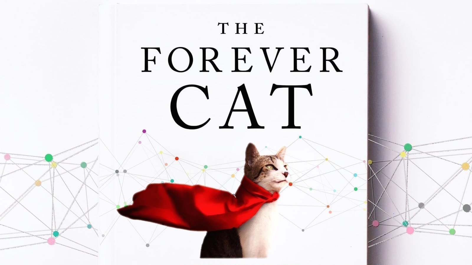 Petition · Would you support "The Forever Cat" book? - United States ...