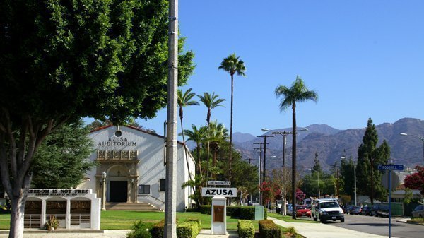 Petition · Plant more trees in Azusa - United States · Change.org